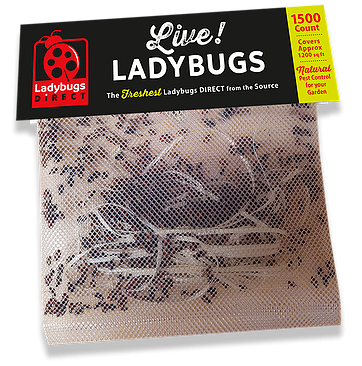 Products – Lady Bugs Direct